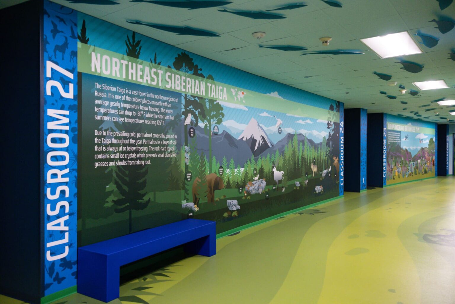 Museums Portfolio | Innovative Environments
